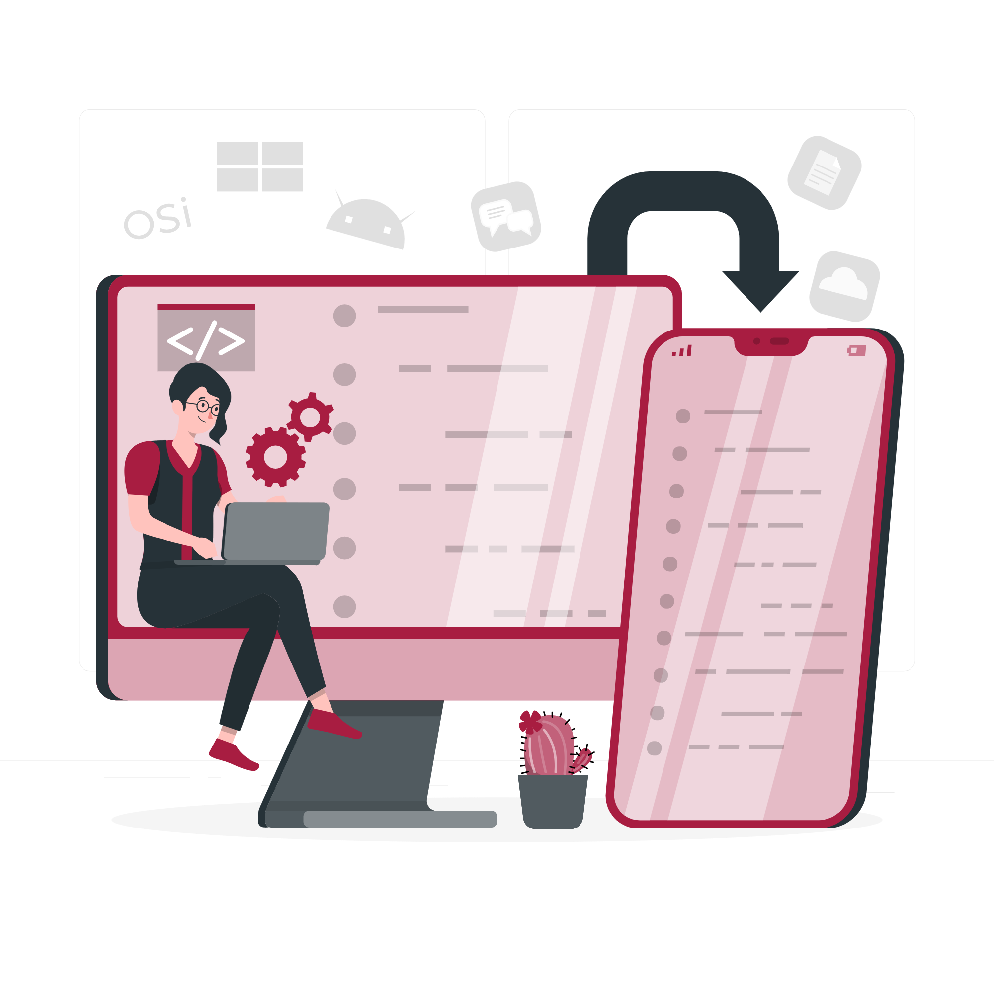 Custom System Development - Primacy ICT Solutions