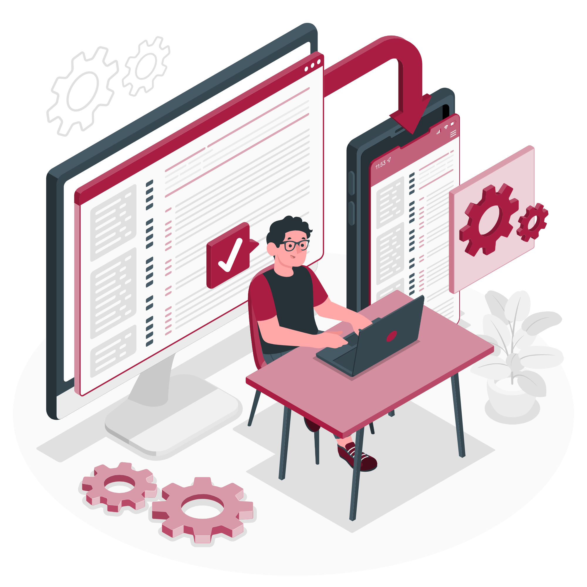 Custom System Development - Primacy ICT Solutions