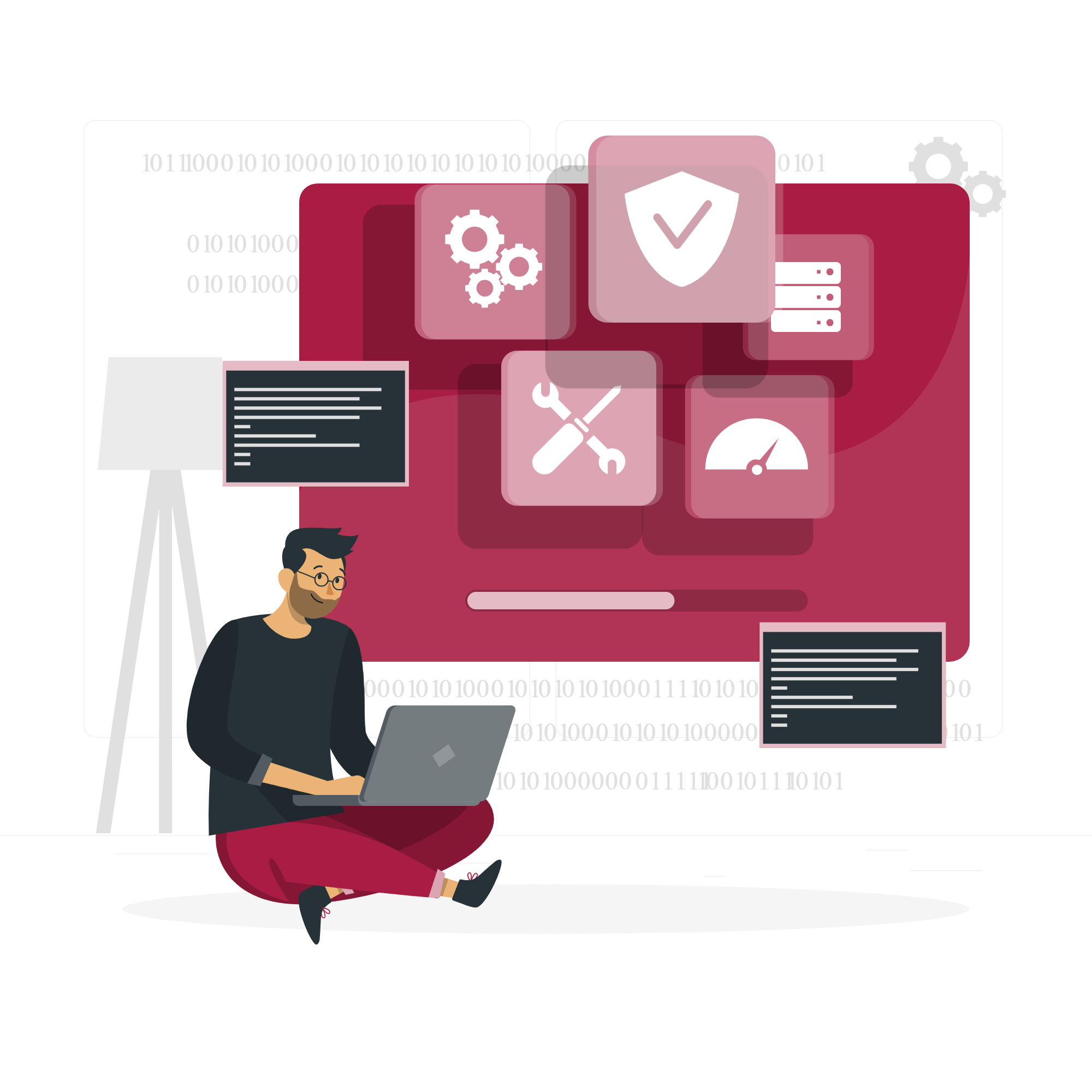 Custom System Development - Primacy ICT Solutions